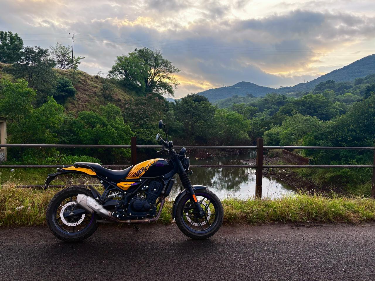 Royal Enfield Guerrilla 450 Long Term Review: Panthera Tigris - Bike India